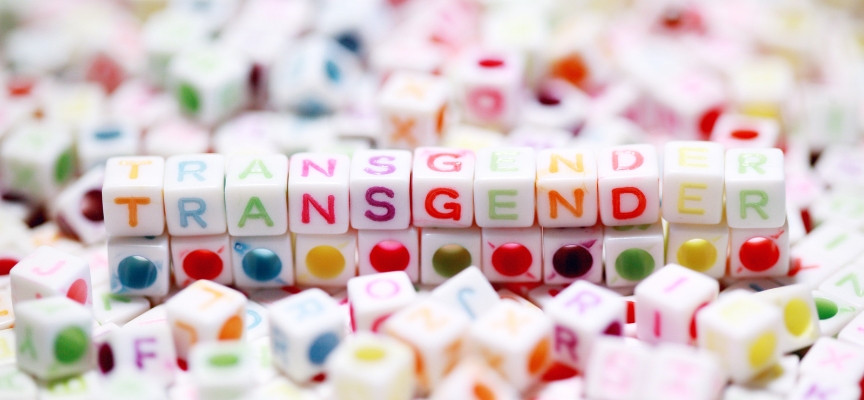 Projeto “Dignidade Trans” é criado no mês da visibilidade Trans ...