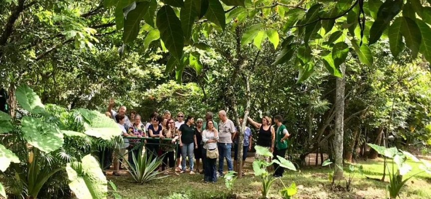 Programação 2023 do Clube da Melhor idade Roda Viva tem início no dia ...