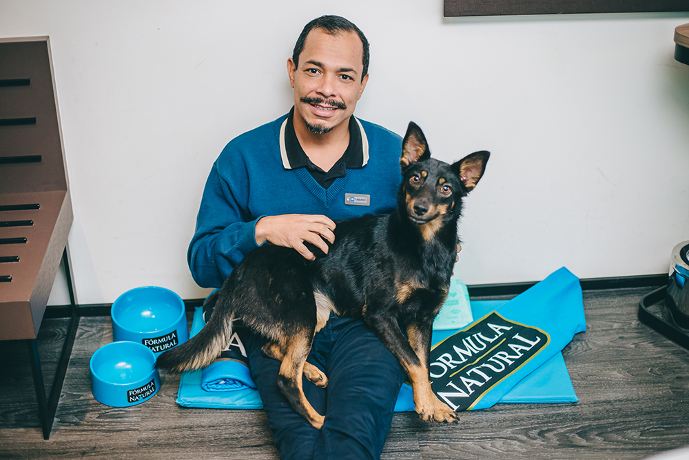 Mais conforto para o seu pet no Novotel e Ibis - # Eventos | Agenda ...